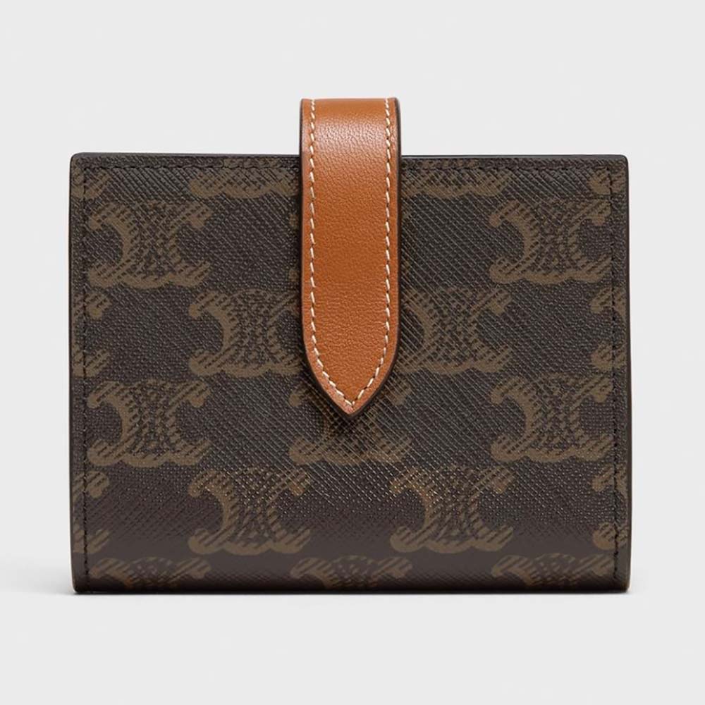 Celine Women Strap Box in Triomphe Canvas and Calfskin